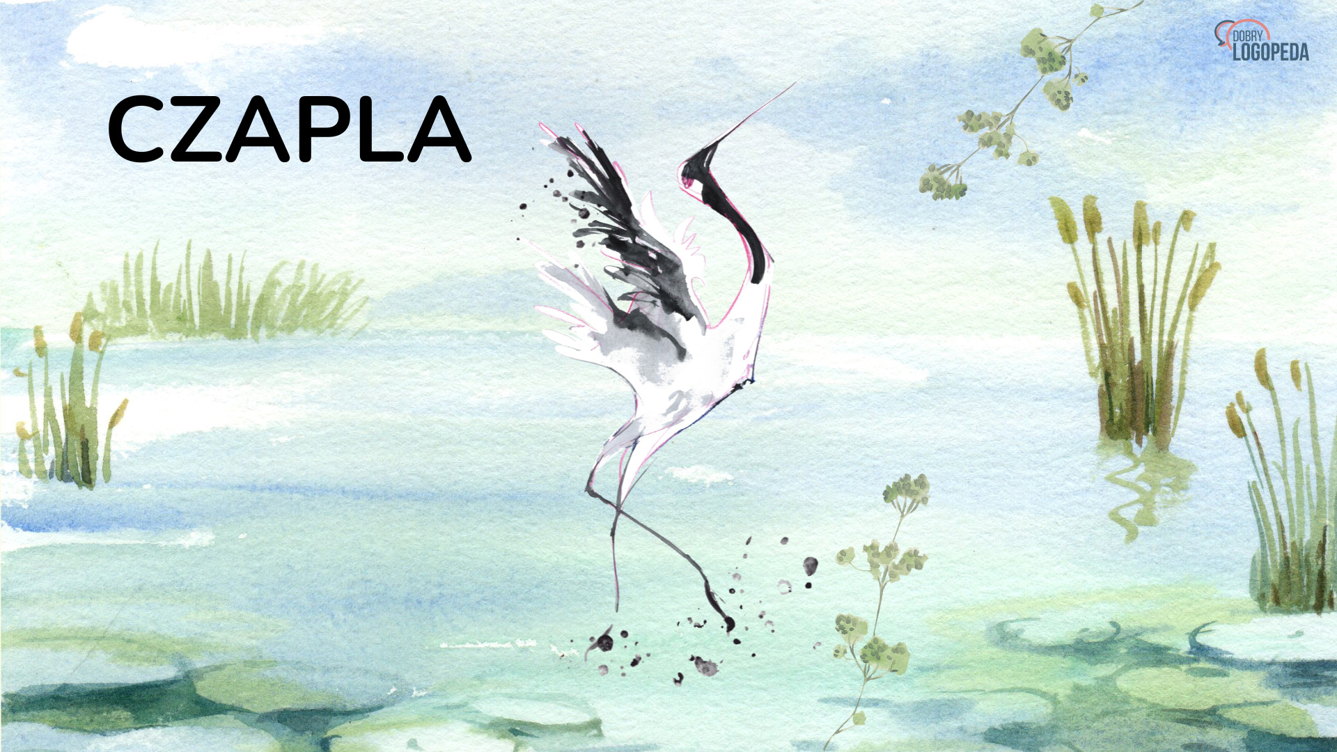 Karty pracy „Czapla” – Dobry logopeda